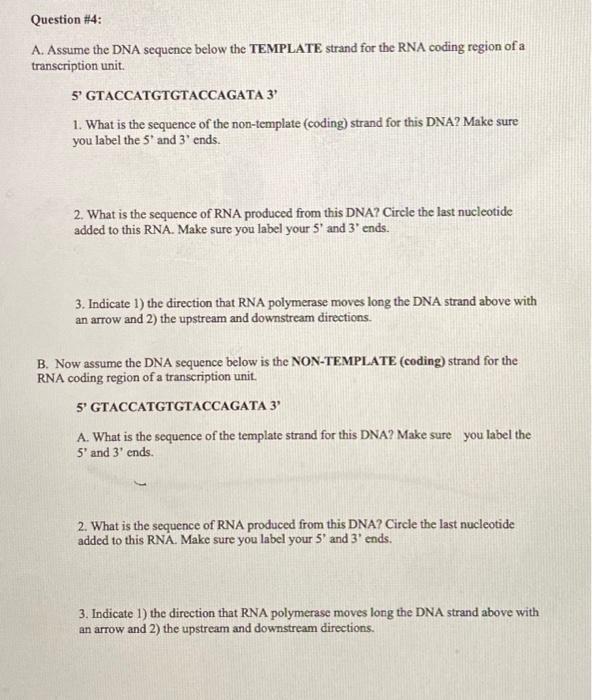 Solved A. Assume the DNA sequence below the TEMPLATE strand | Chegg.com
