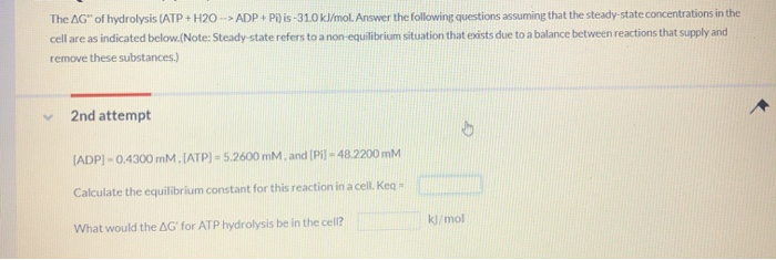 Solved The AG" of hydrolysis (ATP+H20 --> ADP+ Pi) is-310 | Chegg.com