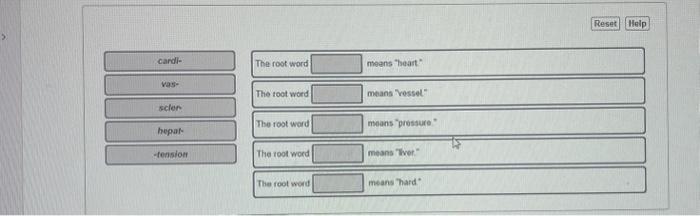 Solved The root word meens "beart" The toot word means | Chegg.com