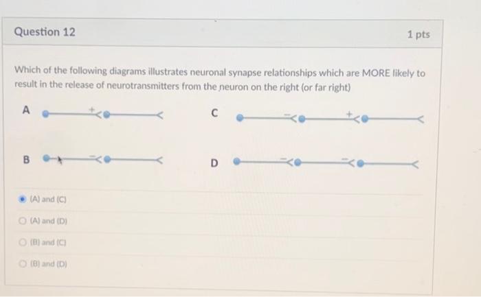 Solved Which of the following diagrams illustrates neuronal | Chegg.com