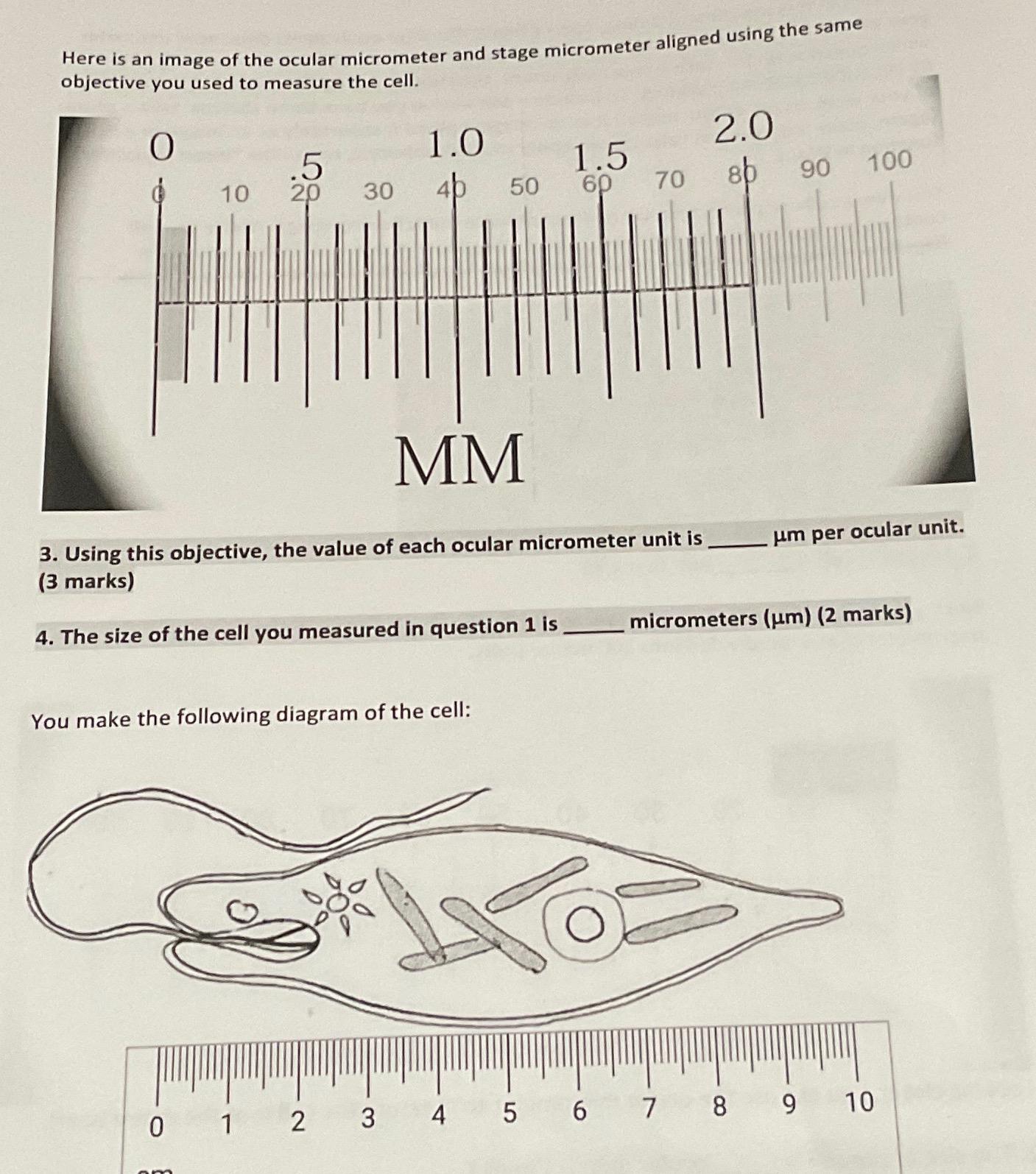 Solved Here is an image of the ocular micrometer and stage | Chegg.com