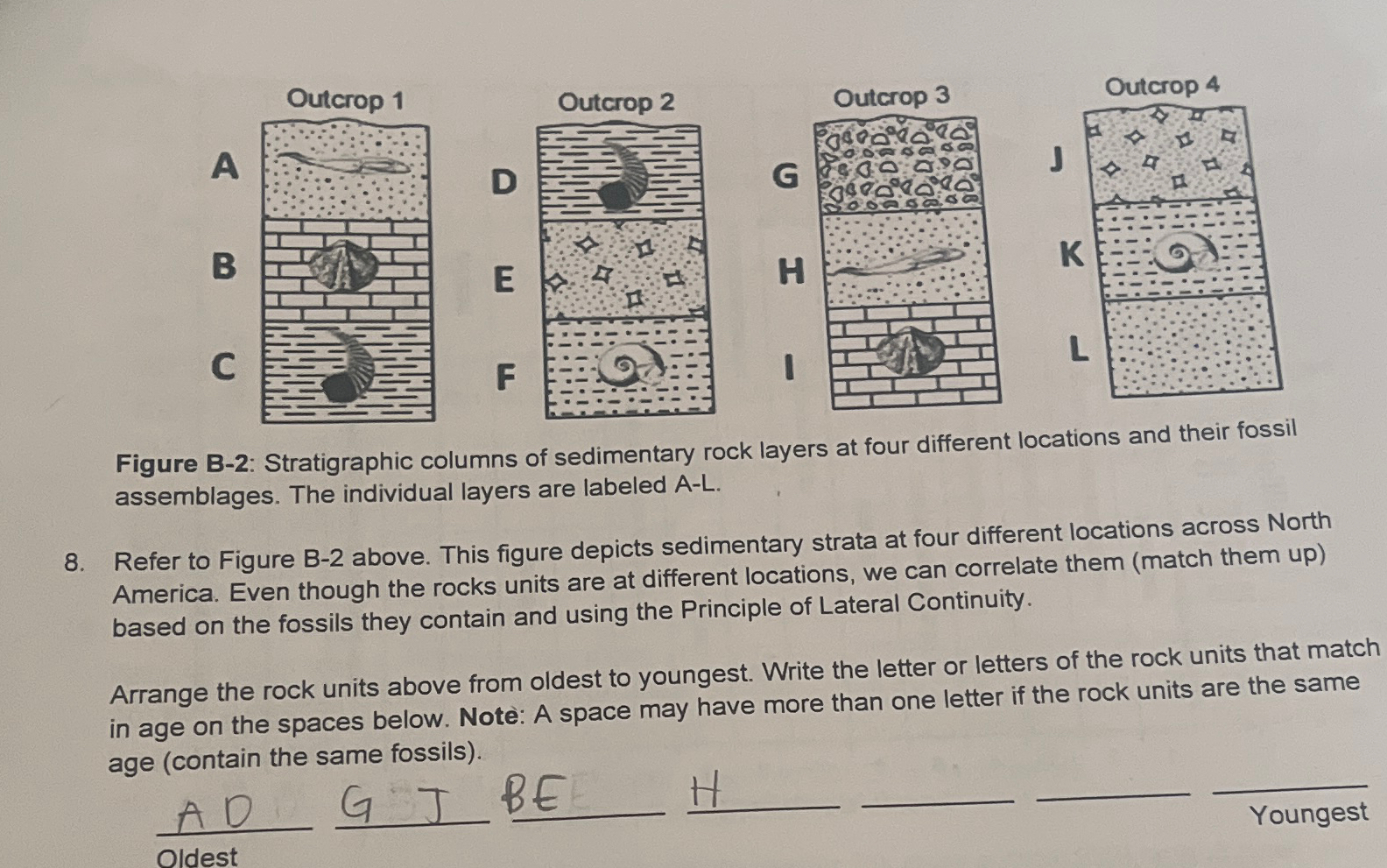 Solved Figure B-2: Stratigraphic columns of sedimentary rock | Chegg.com