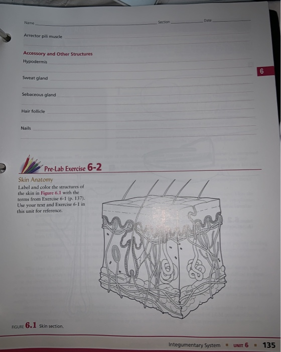 Solved Name PRE-LAB EXERCISES Complete the following thing | Chegg.com