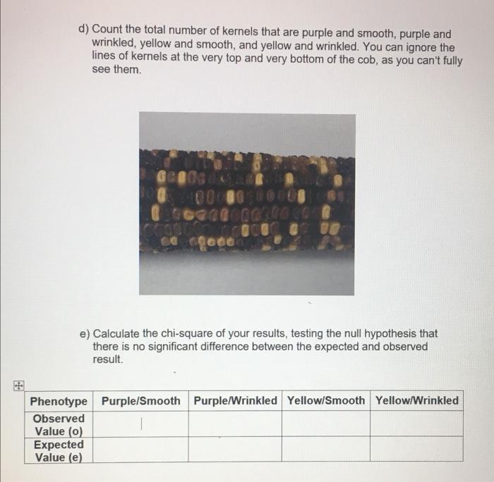 Solved d) Count the total number of kernels that are purple | Chegg.com