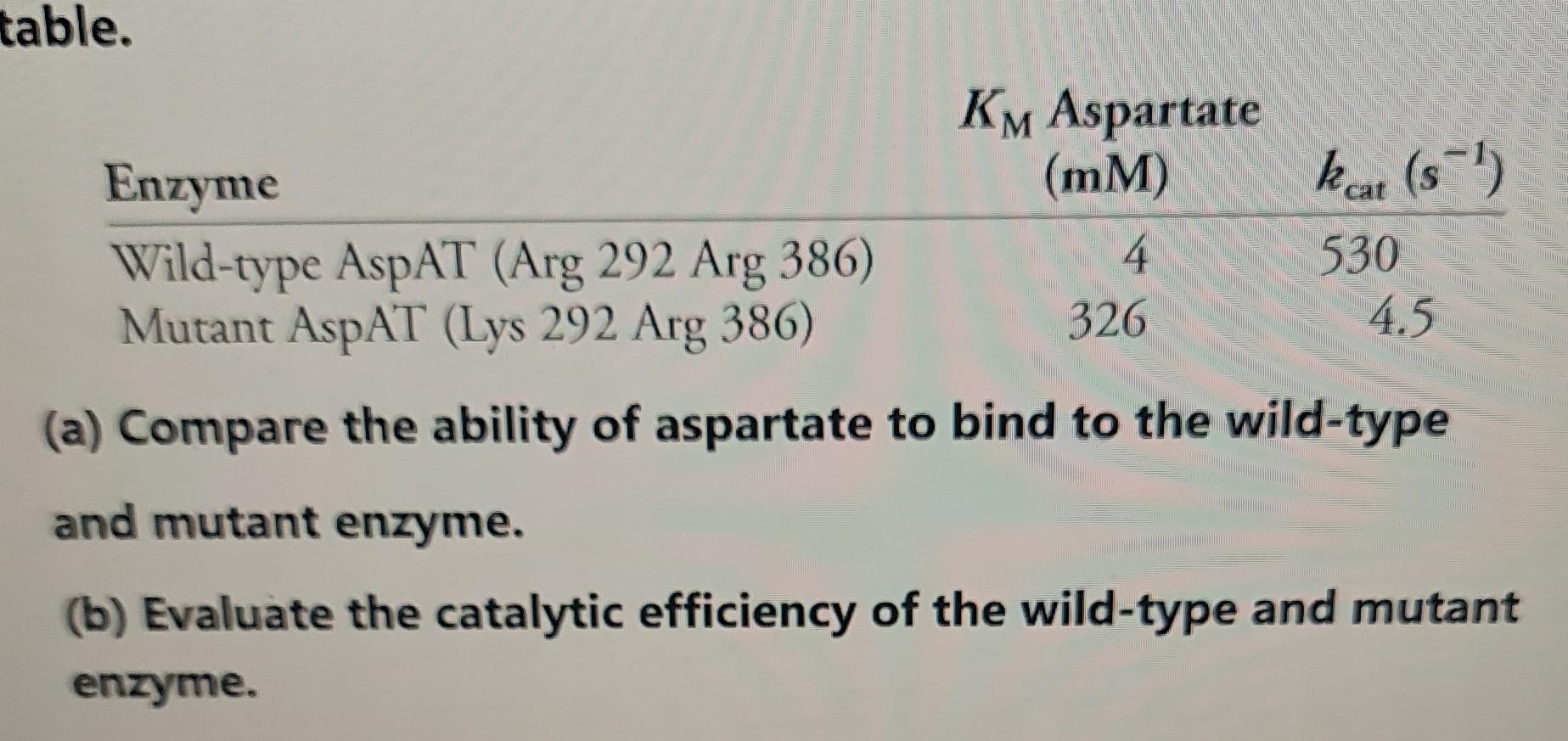 Solved table. KM Aspartate Enzyme (mm) 4 Wild-type AspAT | Chegg.com