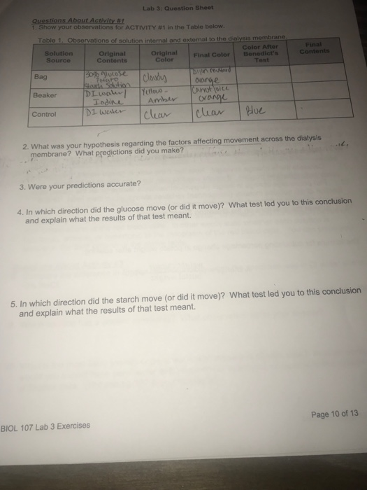 Solved Lab 3: Question Sheet Questions About Activity #1 1. | Chegg.com