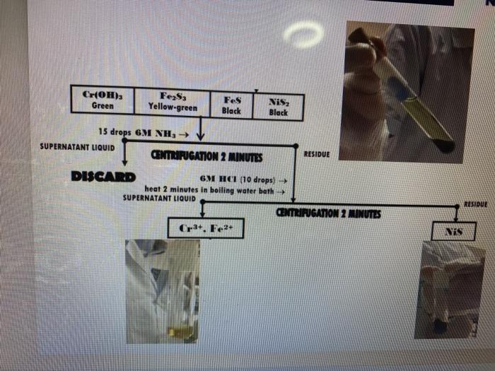 Solved Cr3+, Fe3+, Fe2+, Ni2+ 2 drops GM HCI- Add GM NH3 | Chegg.com