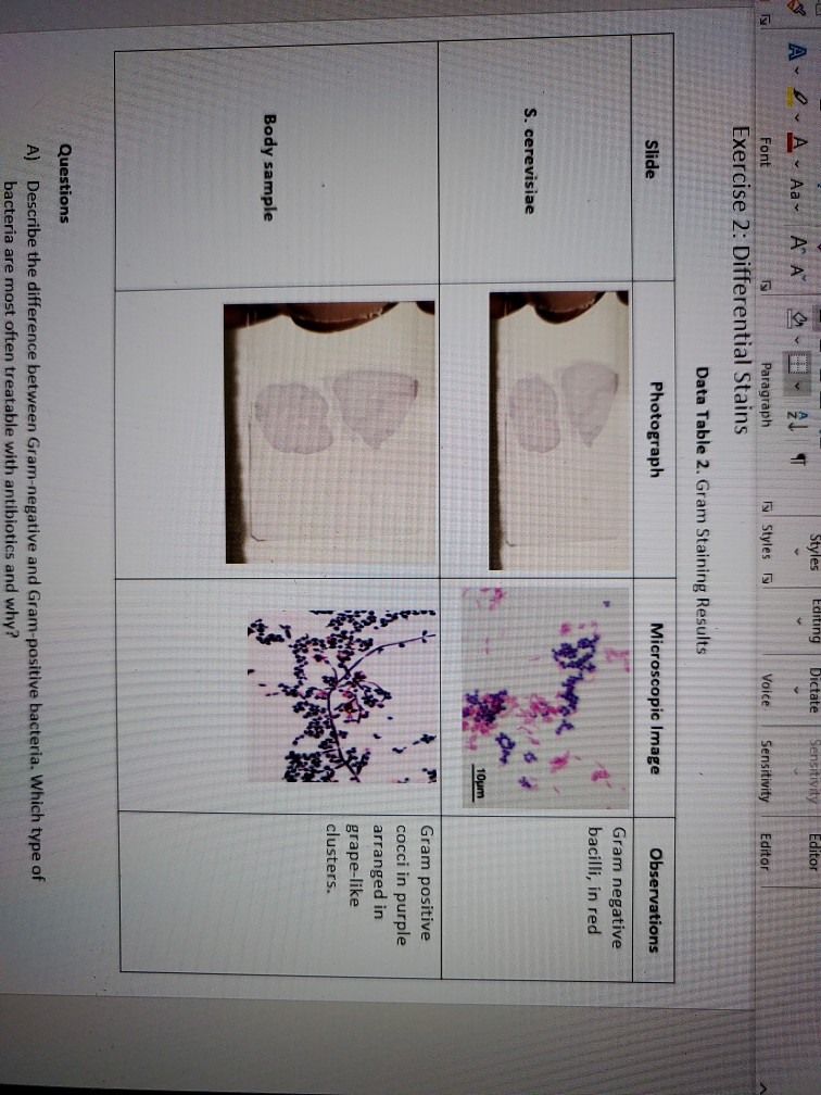 Solved Styles Editing Dictate Sensitivity Editor & A . A - | Chegg.com