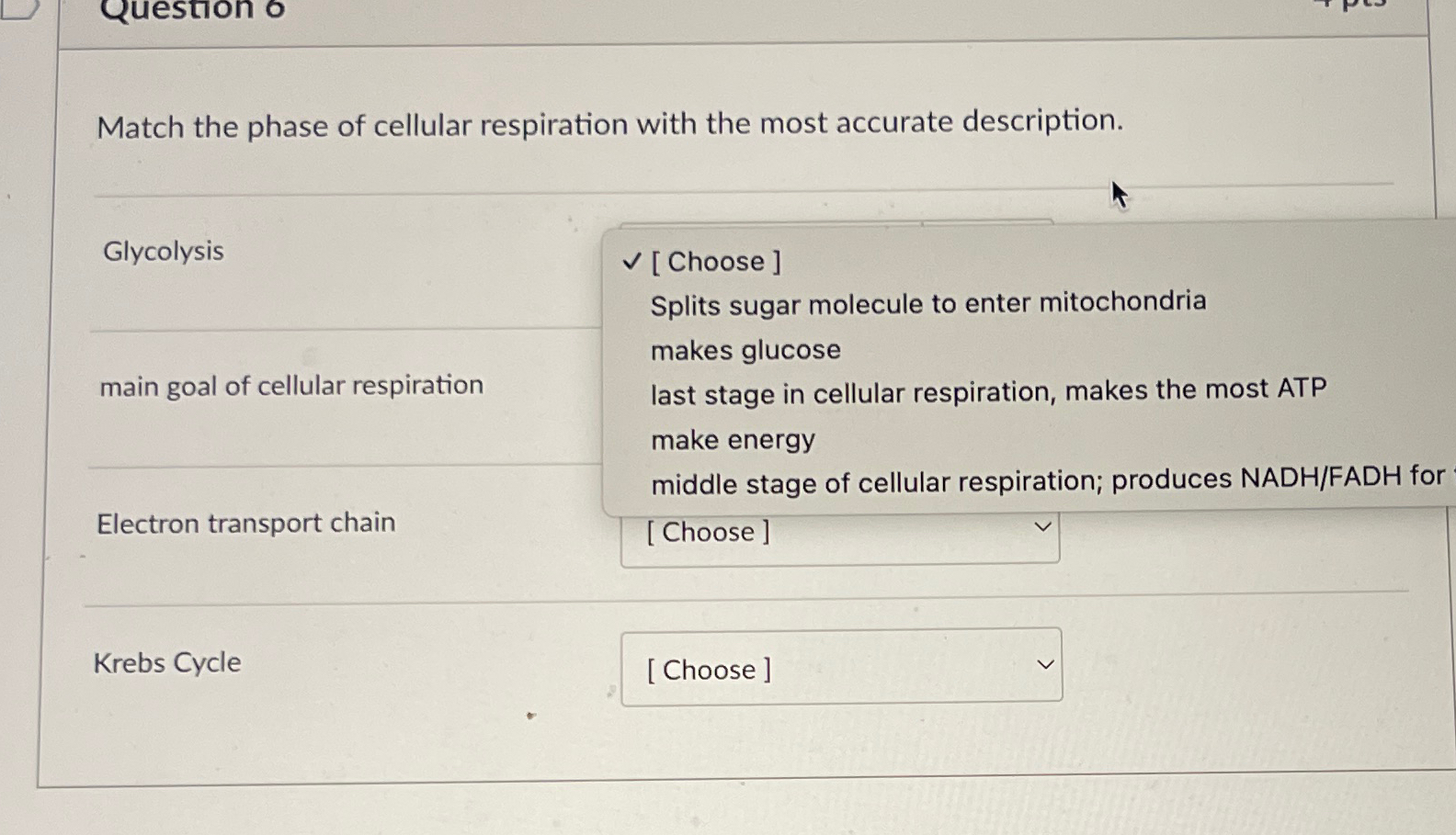 Solved Match the phase of cellular respiration with the most | Chegg.com