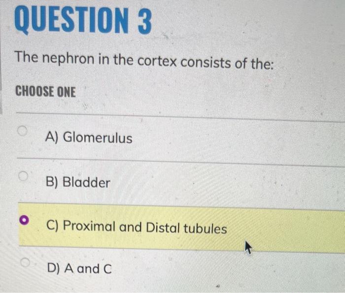 Solved The nephron in the cortex consists of the: CHOOSE ONE | Chegg.com