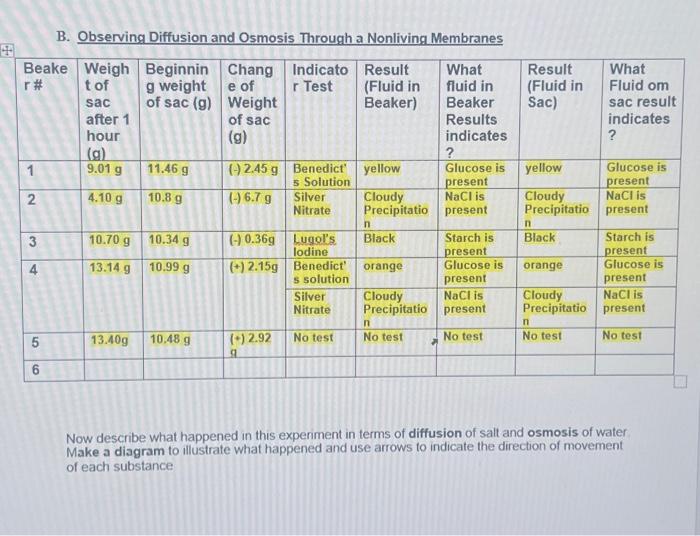 Solved B. Observing Diffusion and Osmosis Through a | Chegg.com