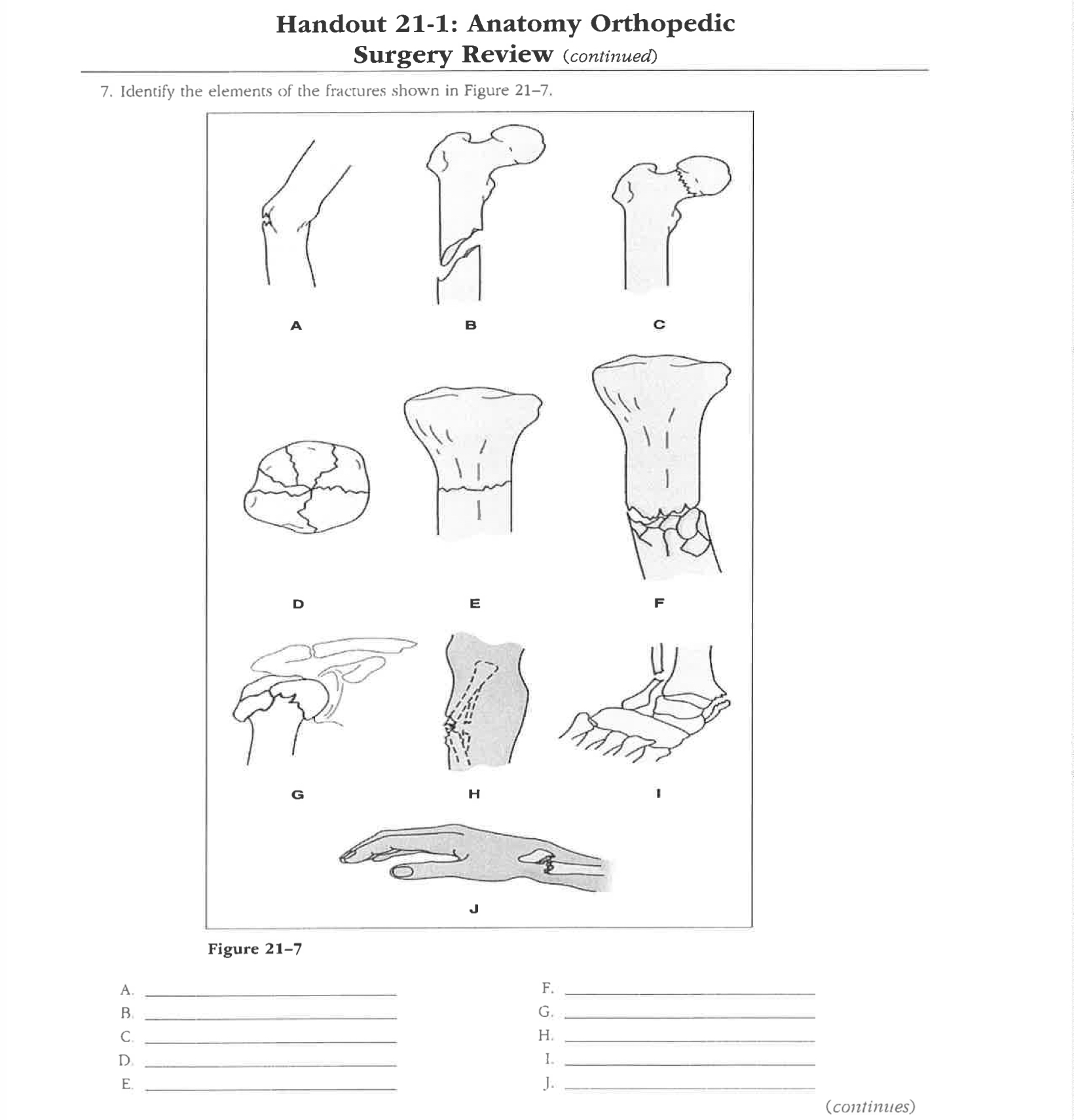 Solved Handout 21-1: Anatomy Orthopedic Surgery Review | Chegg.com