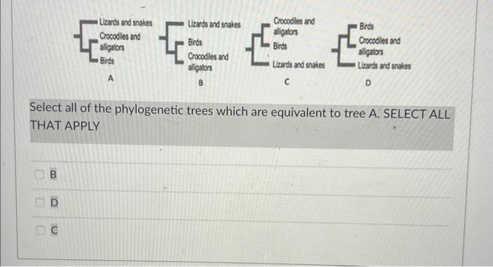 Solved Select all of the phylogenetic trees which are | Chegg.com
