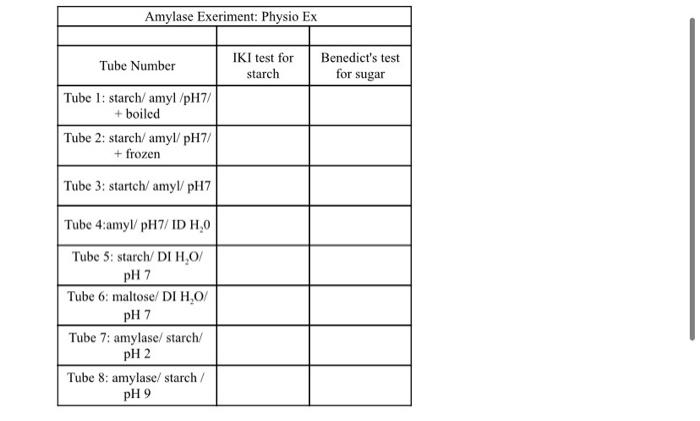Solved Amylase Exeriment: Physio Ex Tube Number IKI test for | Chegg.com