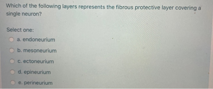 Solved Which of the following layers represents the fibrous | Chegg.com