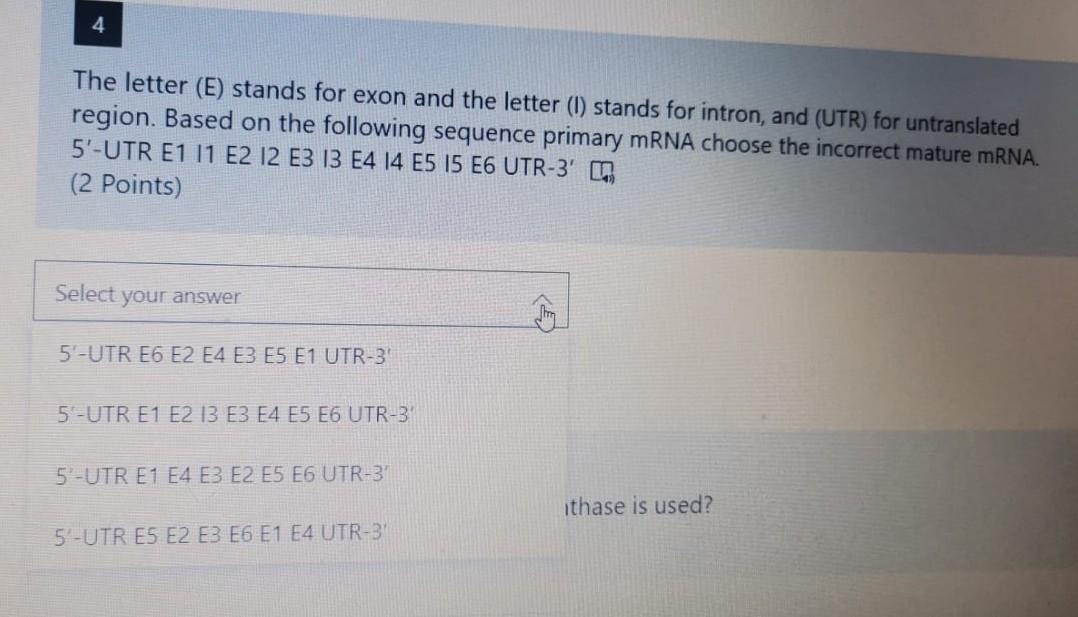 Solved The letter (E) stands for exon and the letter (1) | Chegg.com