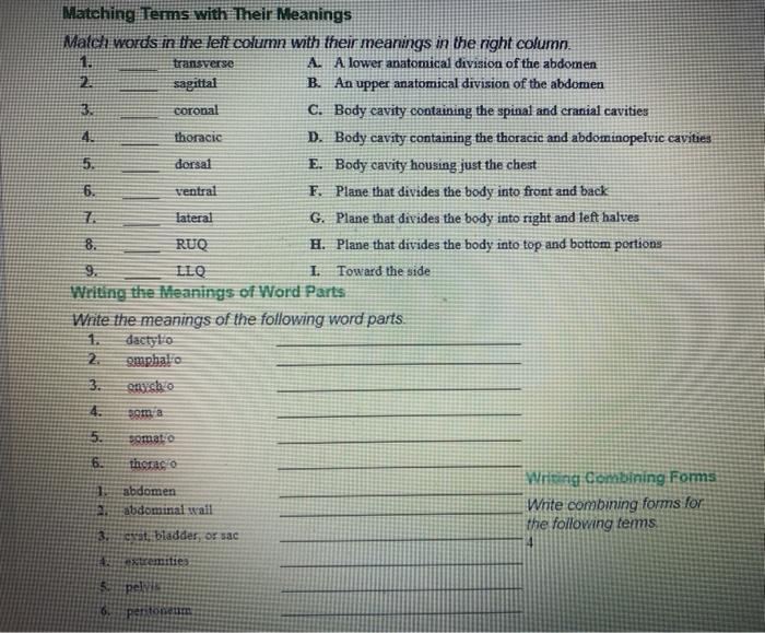 Solved Matching Terms with Their Meanings Match words in the | Chegg.com