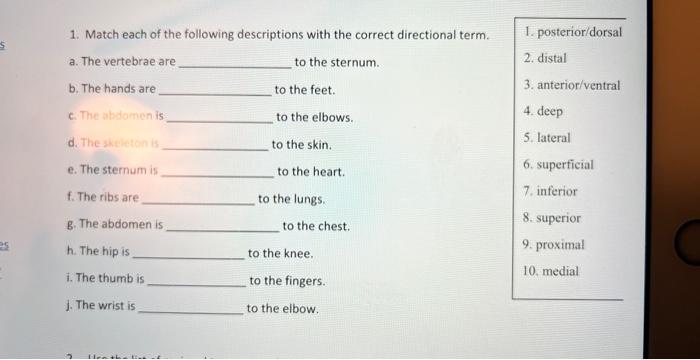 Solved 1. Match each of the following descriptions with the | Chegg.com