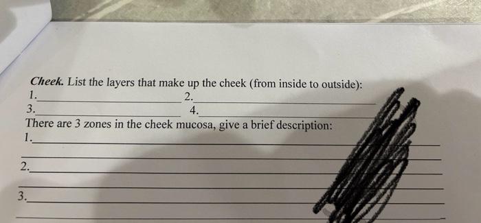 Solved histology - match the numbers and label with the | Chegg.com