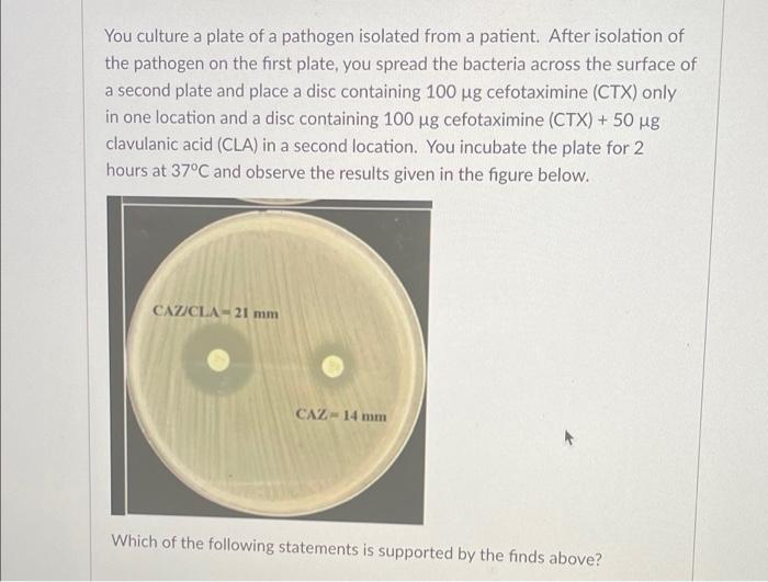 Solved You culture a plate of a pathogen isolated from a | Chegg.com