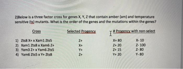 Solved 2)Below is a three factor cross for genes X, Y, Z | Chegg.com
