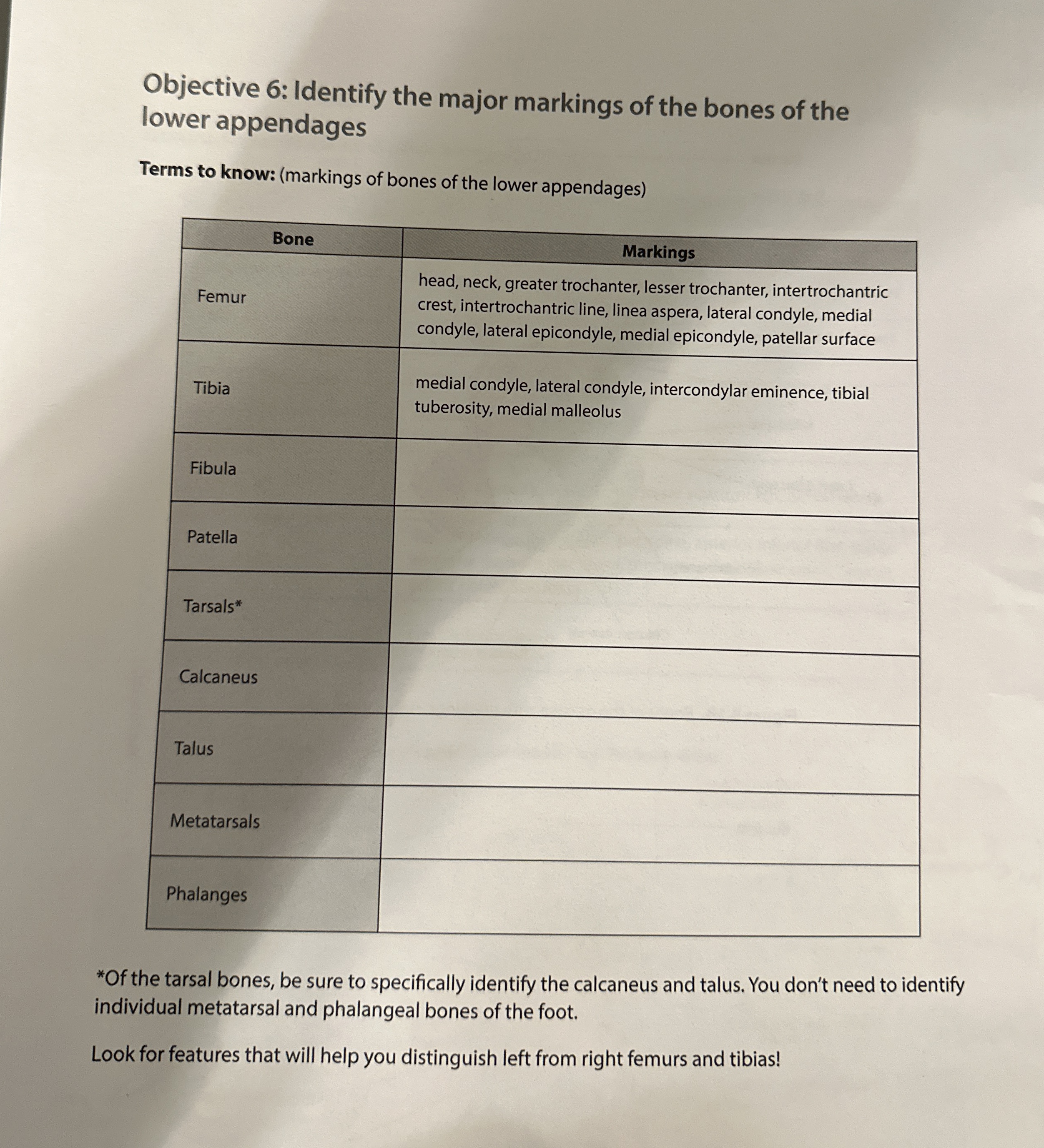 Solved Objective 6: Identify the major markings of the bones | Chegg.com