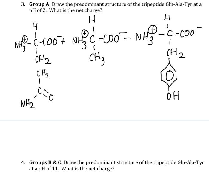 Solved 3. Group A: Draw the predominant structure of the | Chegg.com