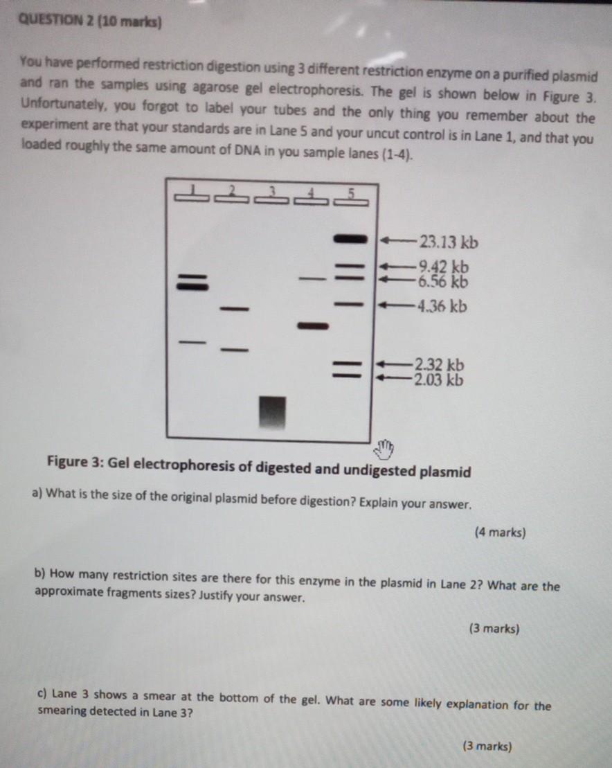 Solved QUESTION 2 (10 marks) You have performed restriction | Chegg.com