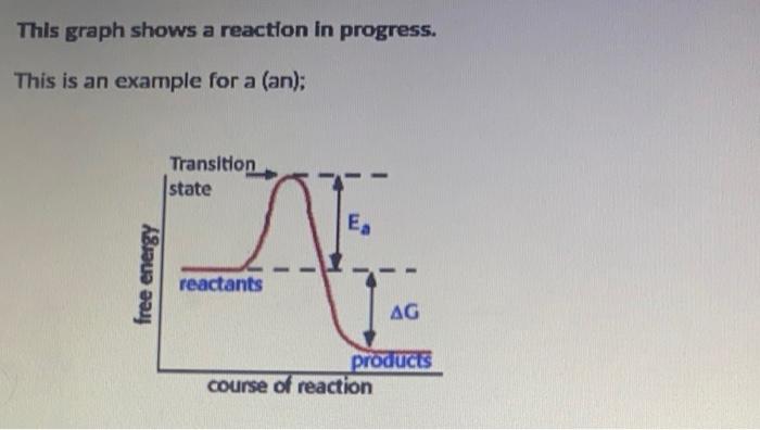 Solved This graph shows a reaction in progress. This is an | Chegg.com