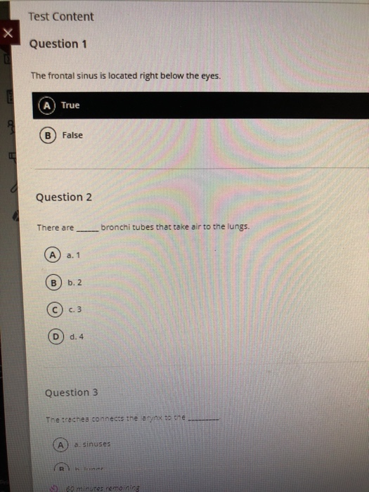 Solved Test Content х Question 1 The frontal sinus is | Chegg.com