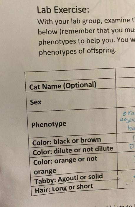 Solved Lab \#11: Genetics Post-Laboratory Assignment, 15 | Chegg.com