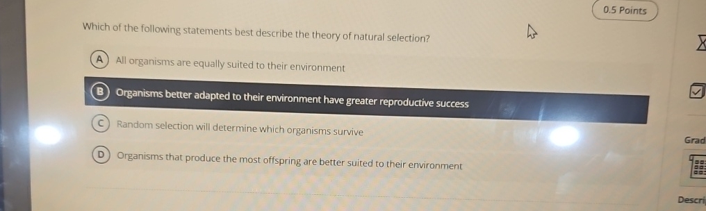 Solved Which of the following statements best describe the | Chegg.com