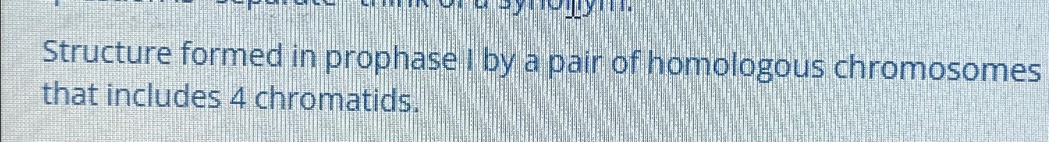 Solved Structure formed in prophase I by a pair of | Chegg.com