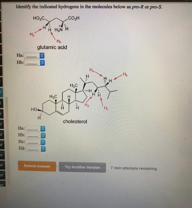 Solved Identify the indicated hydrogens in the molecules | Chegg.com