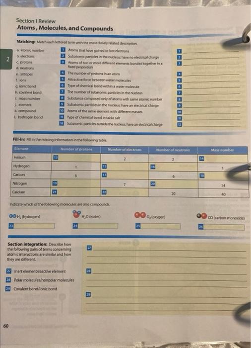 Solved Section 1 Review Atoms, Molecules, and Compounds | Chegg.com