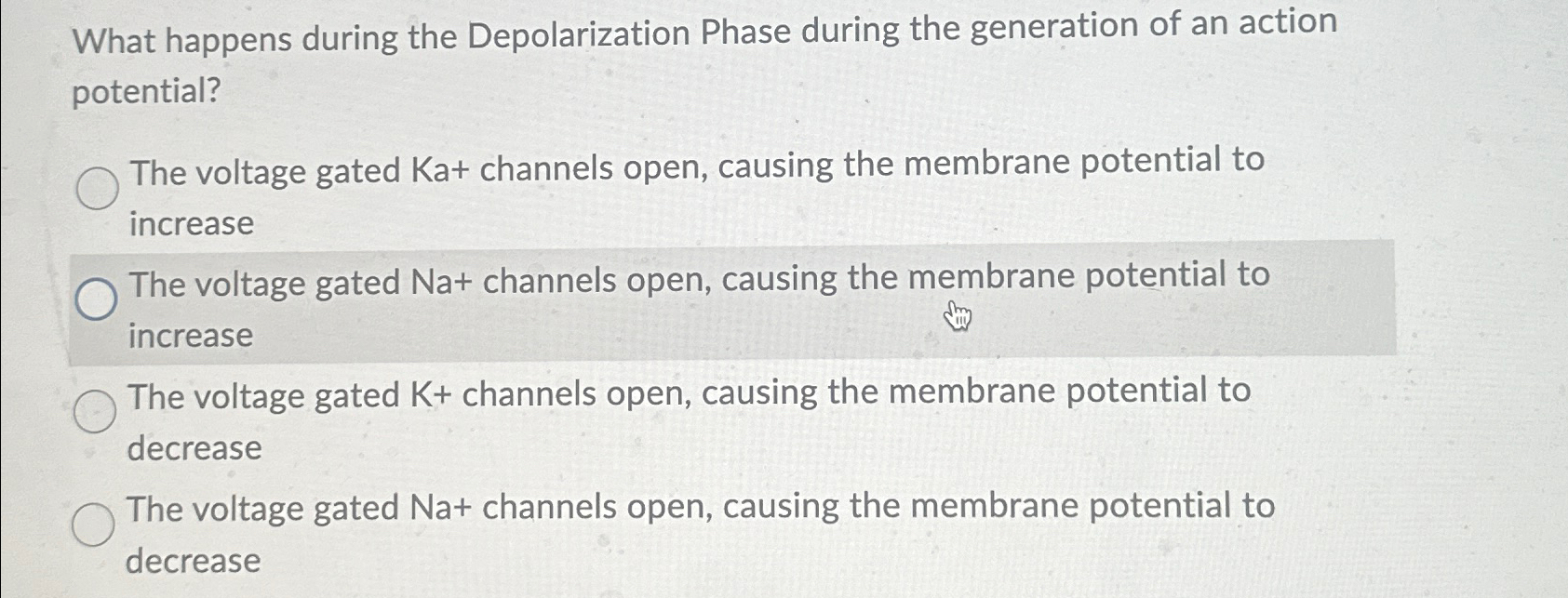 Solved What happens during the Depolarization Phase during | Chegg.com