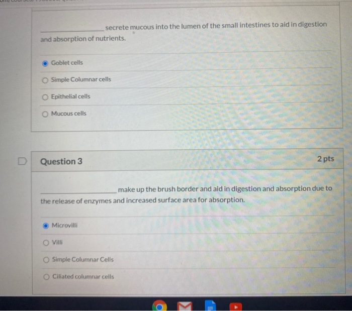 Solved secrete mucous into the lumen of the small intestines | Chegg.com