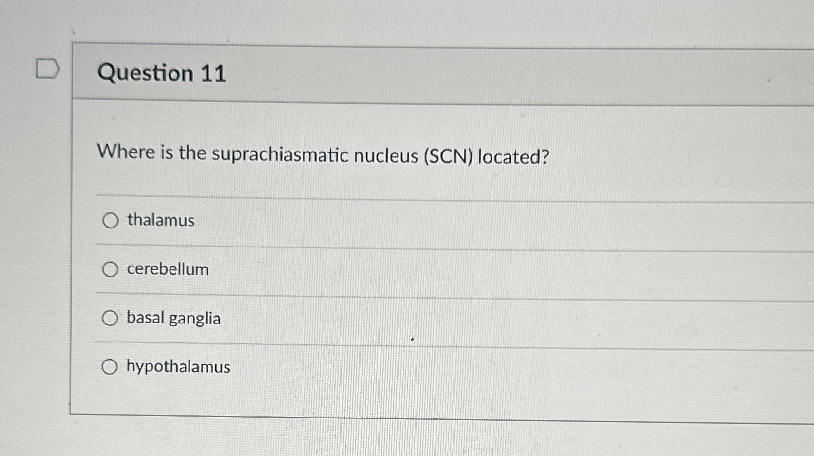 Solved Question 11where Is The Suprachiasmatic Nucleus Scn