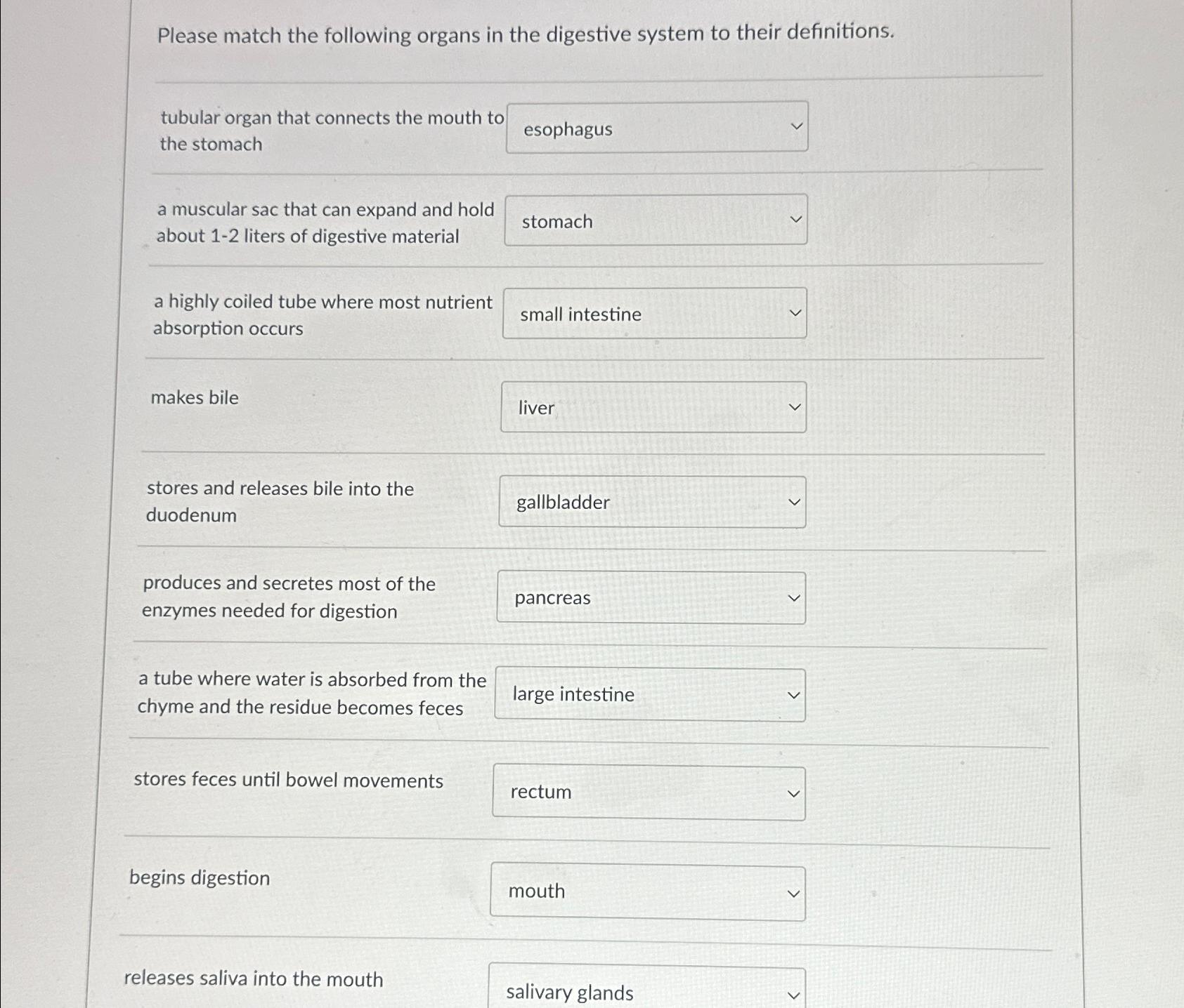 Solved Please match the following organs in the digestive | Chegg.com