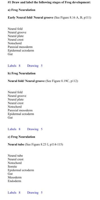Solved #1 Draw and label the following stages of Frog | Chegg.com