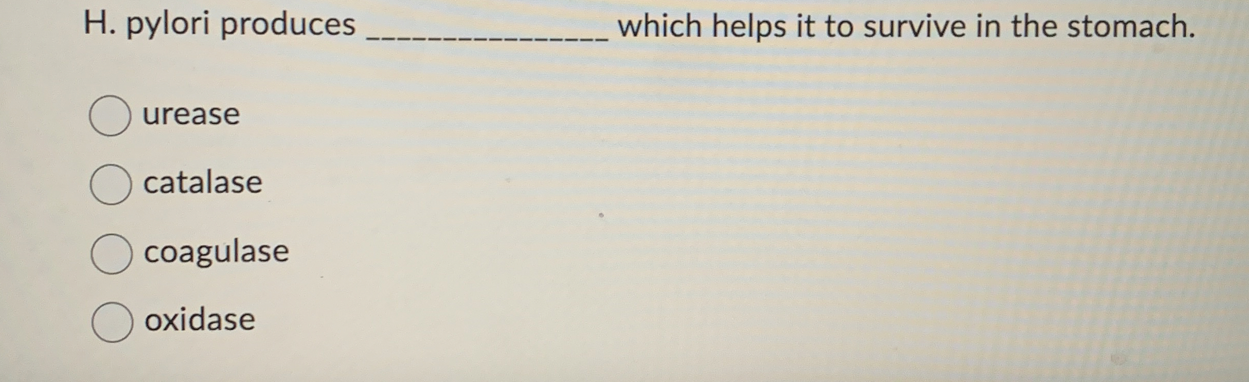 Solved H. ﻿pylori produces q, ﻿which helps it to survive in | Chegg.com