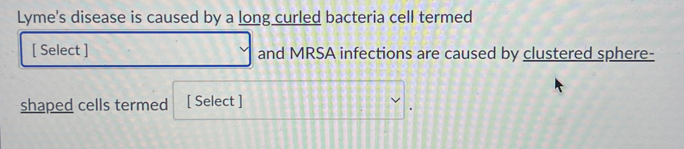 Solved Lyme's disease is caused by a long curled bacteria | Chegg.com