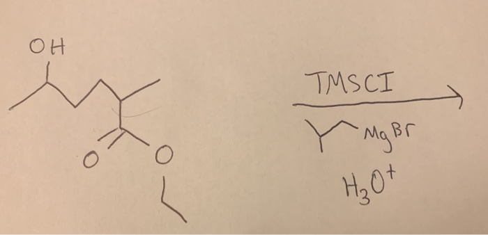 Solved ОН TMSCI Y Mg Br o Н,0+ | Chegg.com