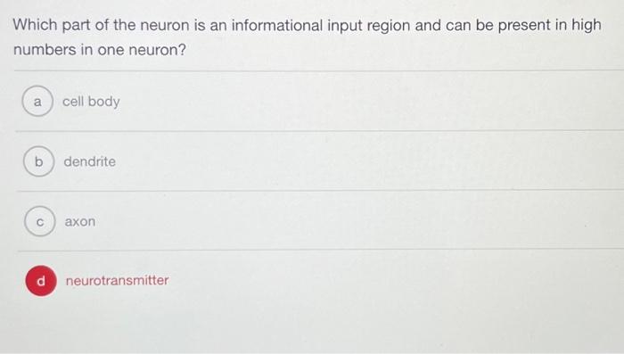 Solved Which of these is true regarding the primary union vs | Chegg.com