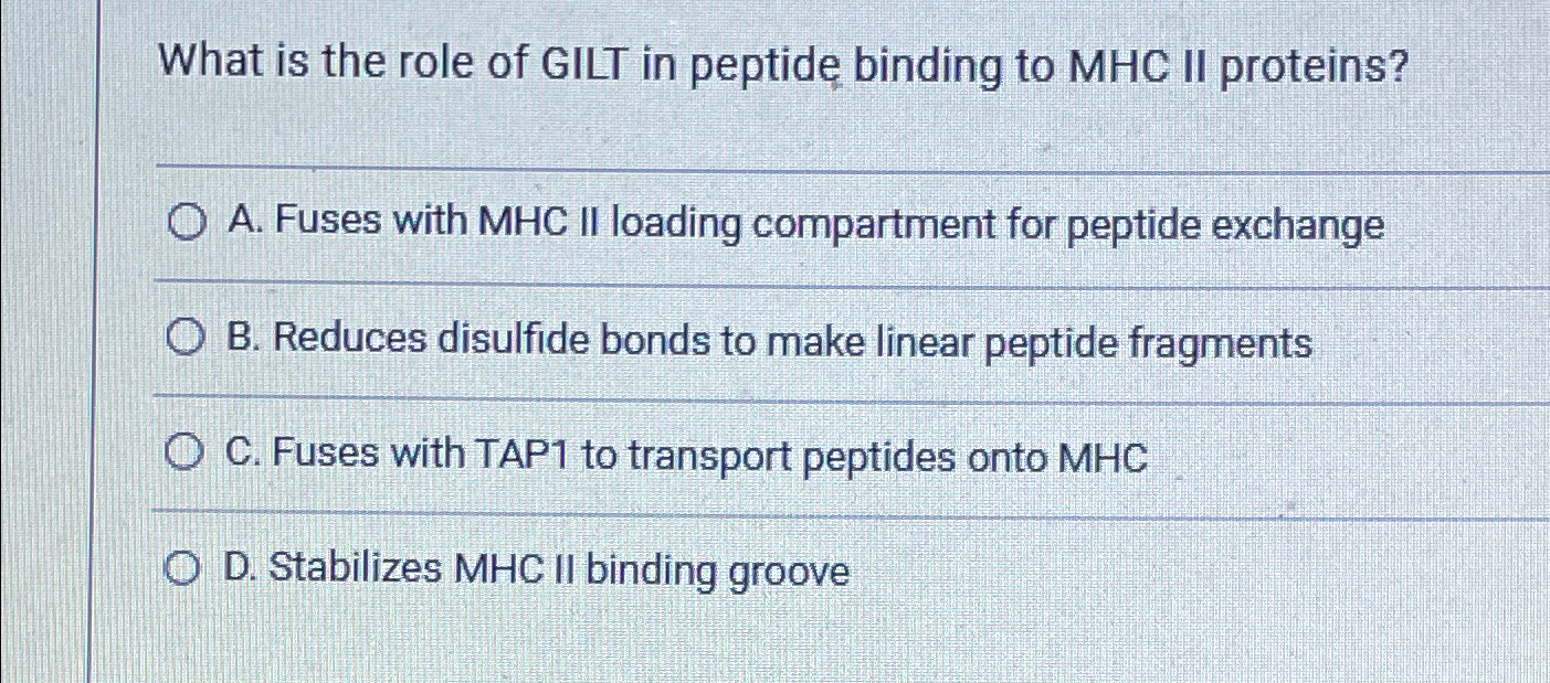 Solved What is the role of GILT in peptide binding to MHC II | Chegg.com