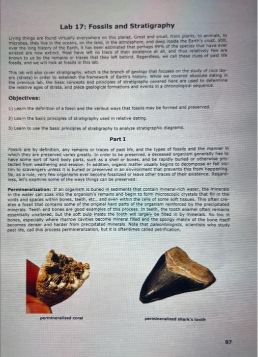 Solved Lab 17: Fossils and Stratigraphy Uwing things are | Chegg.com
