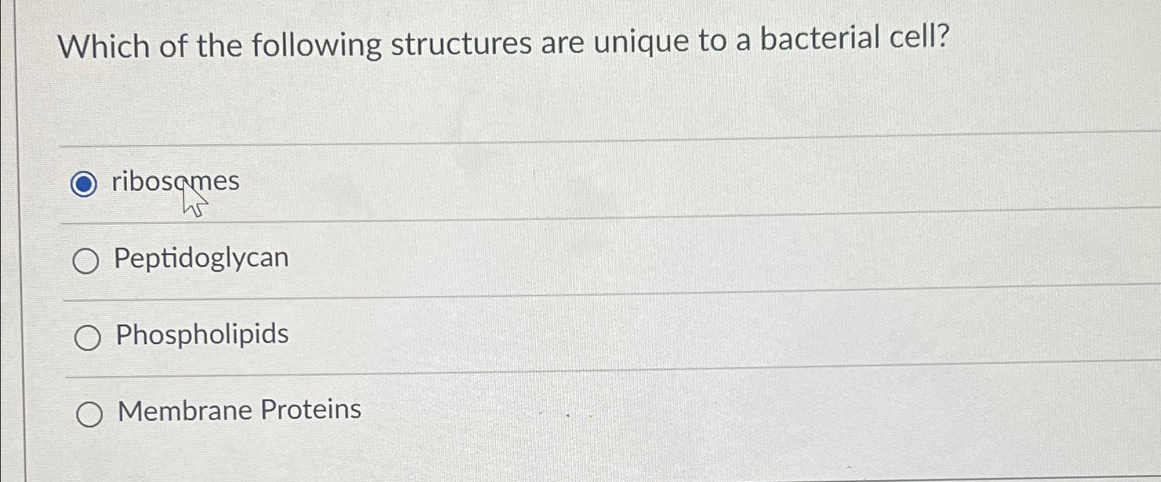 Solved Which of the following structures are unique to a | Chegg.com