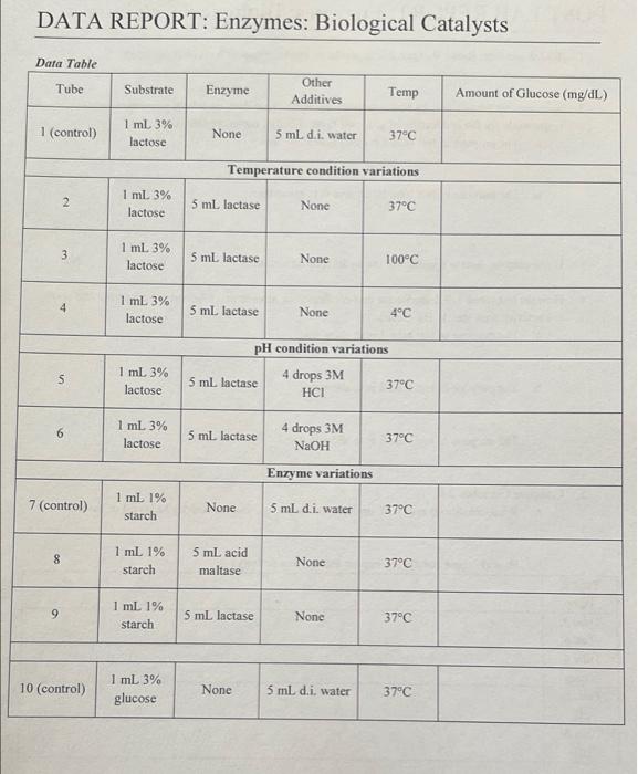 DATA REPORT: Enzymes: Biological Catalysts Data Table | Chegg.com