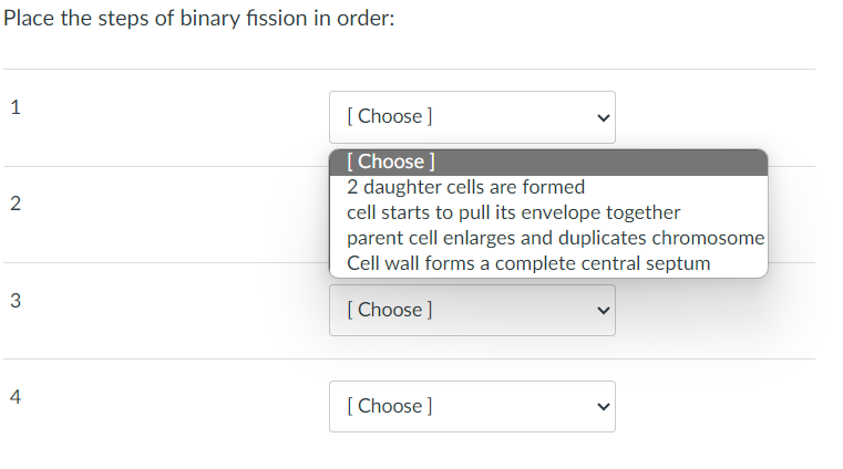 Solved Place the steps of binary fission in order:[ ﻿Choose | Chegg.com