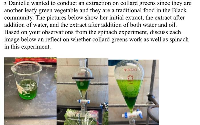 Solved Danielle wanted to conduct an extraction on collard | Chegg.com